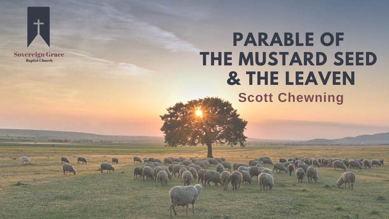 Parable of the Mustard Seed & the Leaven